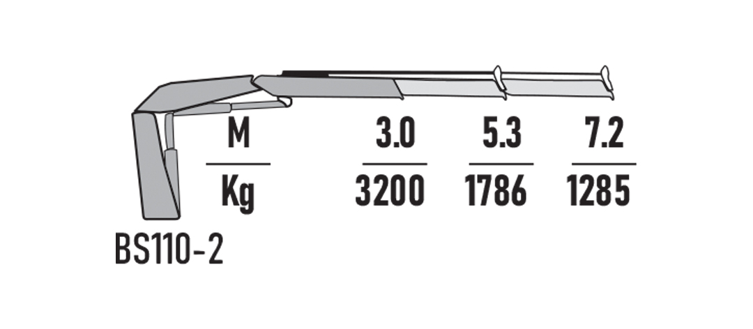 Rhino BS 110 – Rhino Crane Malaysia